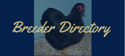 Poultry Show Central