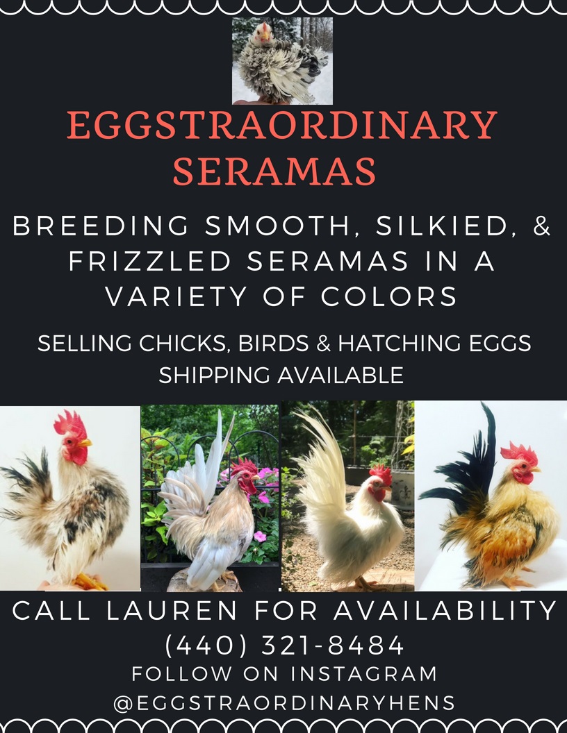 Seramas For Sale
