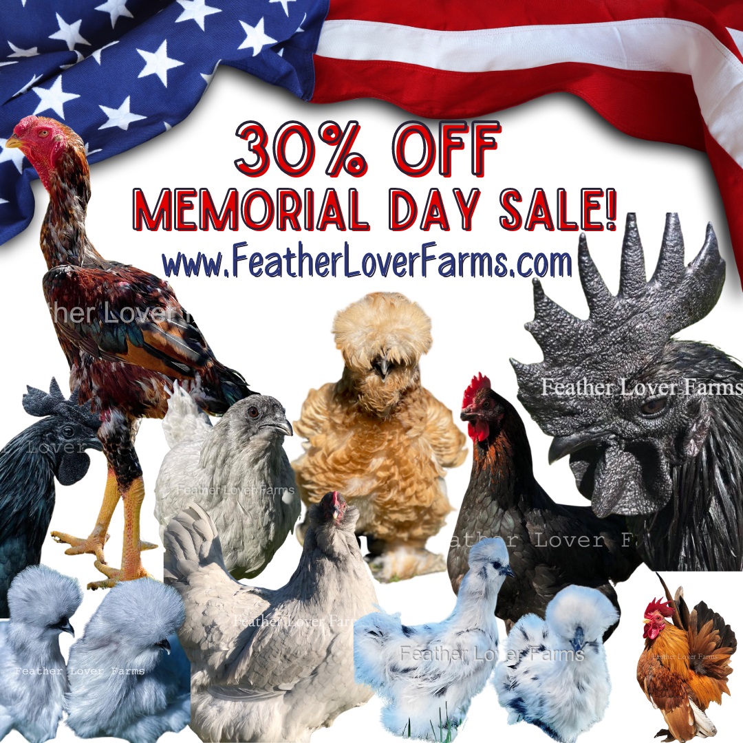 North Carolina Poultry Shows