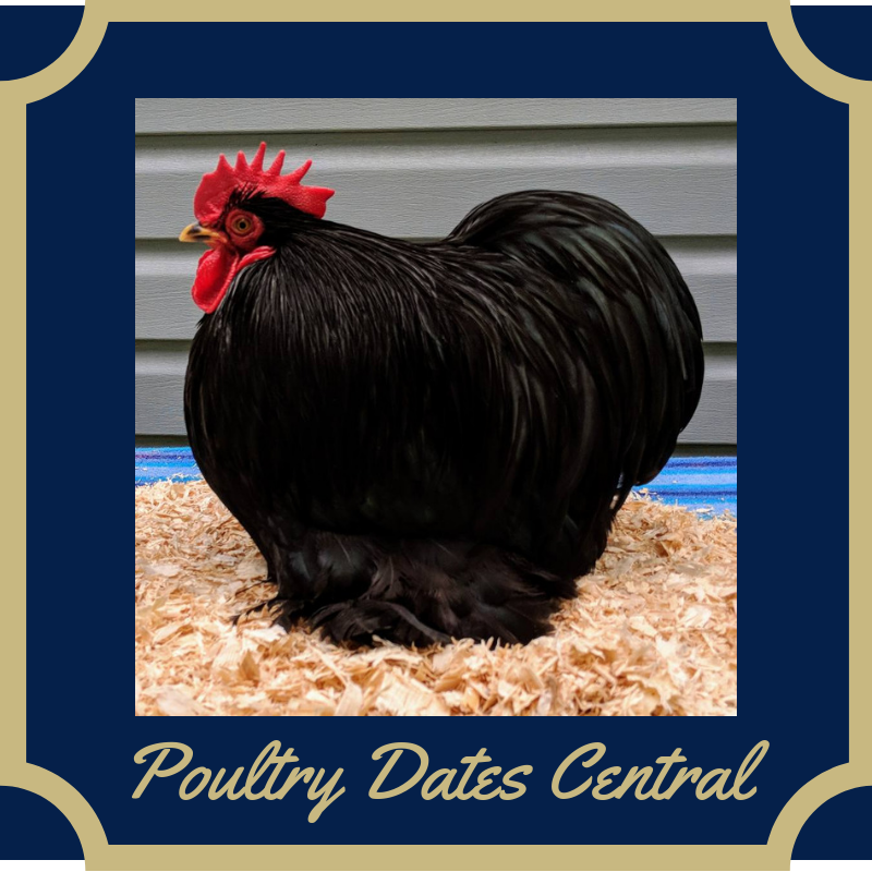 Poultry Show Central